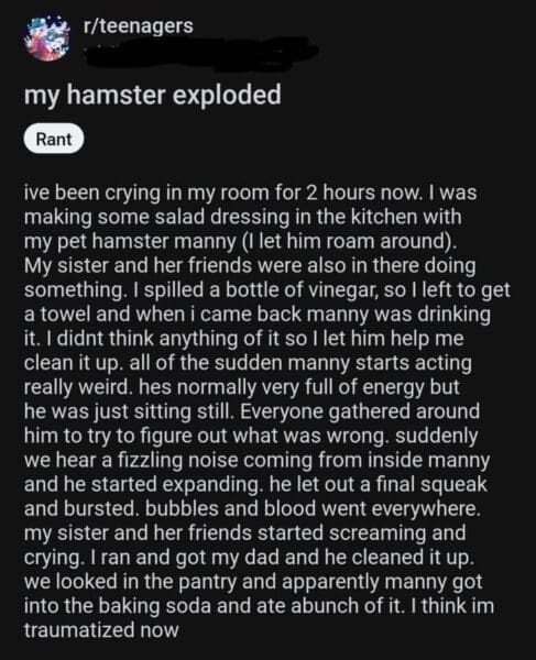 40 Bizarrely Funny Out of Context Reddit Posts