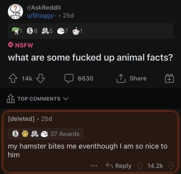 40 Bizarrely Funny Out of Context Reddit Posts