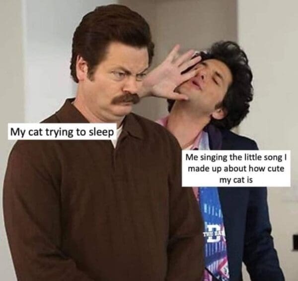 Parks and Rec Memes: 25 Pawnee Punchlines for Daily Delight