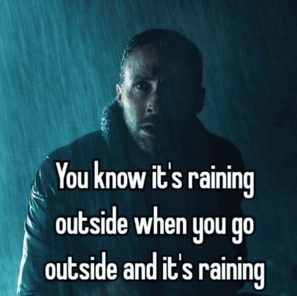 Rainy Day Meme Dump : 30 Rain Memes For Grey Days