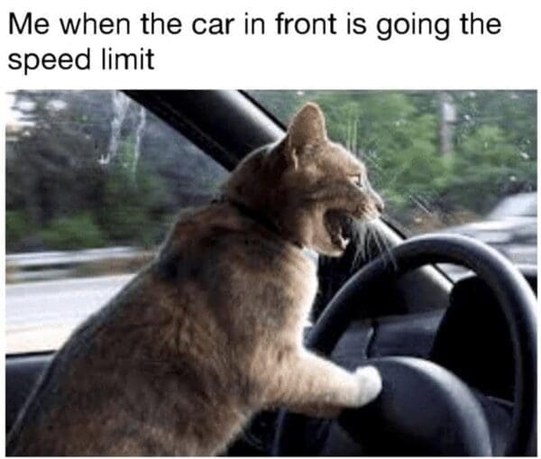 30 Funny Road Rage Memes to Help Your Commute Stress
