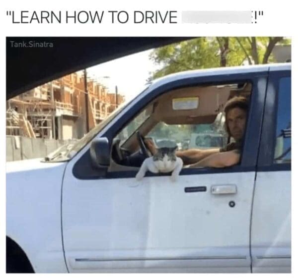 30 Funny Road Rage Memes to Help Your Commute Stress