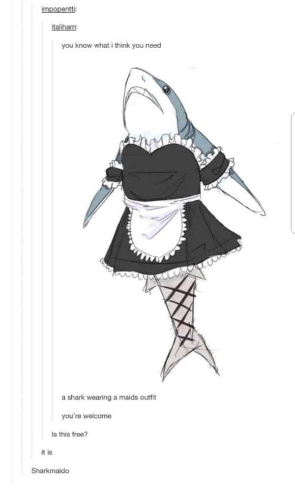 Shark Memes: 34 Fins, Grins, and Sudden Laugh Attacks
