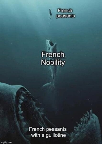 Shark Memes: 34 Fins, Grins, and Sudden Laugh Attacks
