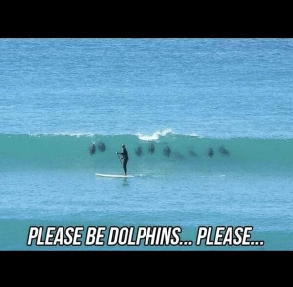 Surfing Memes: 30 Swell Laughs for Wave Chasers