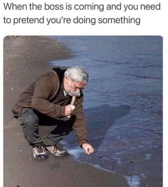 35 Boss Memes That Hit Harder Than Your Performance Review