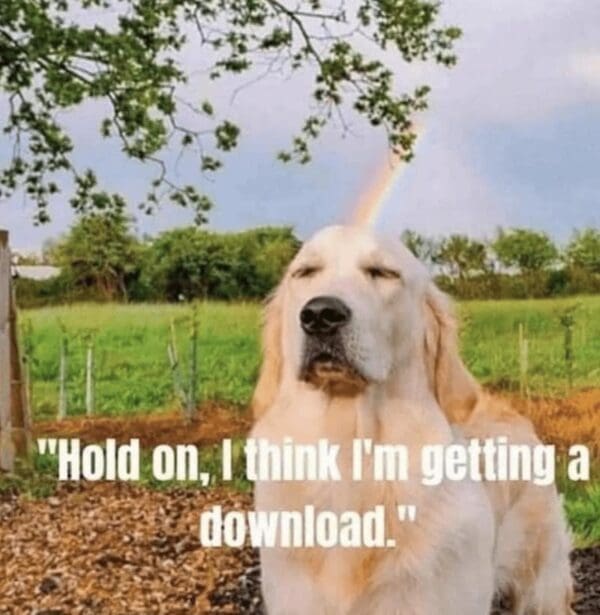 Enlightenment Memes: 40 Spiritual LOLs for Your Higher Self