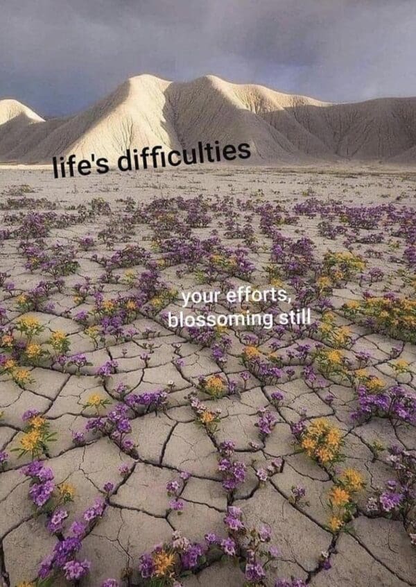 Enlightenment Memes: 40 Spiritual LOLs for Your Higher Self