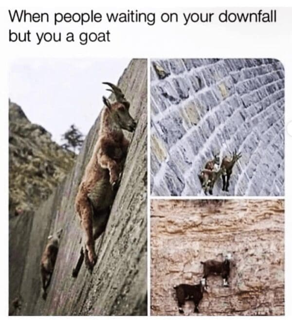 Enlightenment Memes: 40 Spiritual LOLs for Your Higher Self