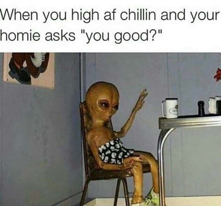 Funny Alien Memes: 35 LOLs for the True Believers