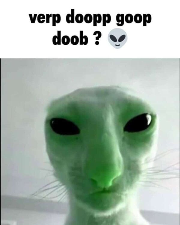 Funny Alien Memes: 35 LOLs for the True Believers