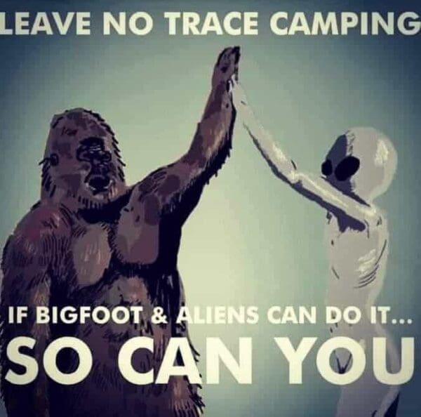 Funny Alien Memes: 35 LOLs for the True Believers