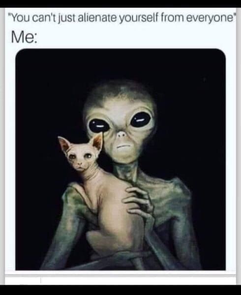 Funny Alien Memes: 35 LOLs for the True Believers