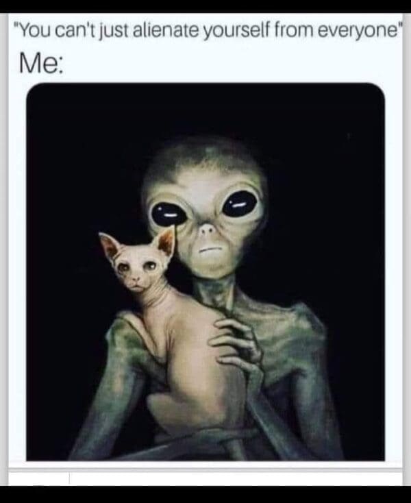Funny Alien Memes: 35 LOLs for the True Believers