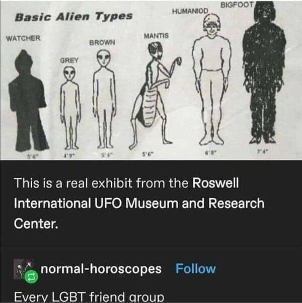 Funny Alien Memes: 35 LOLs for the True Believers