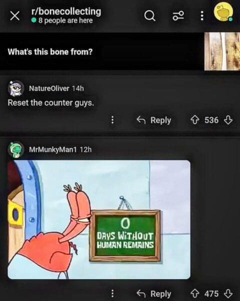 Funny Reddit Posts: 30 Gems That Prove Reddit Is Weird