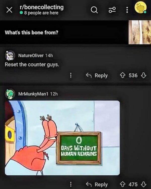 Funny Reddit Posts: 30 Gems That Prove Reddit Is Weird