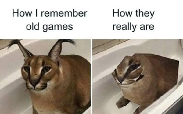 40 Gen Z Memes Capturing the Essence of Youthful Dystopia