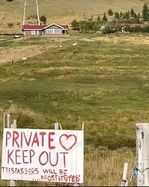 31 Grammar Fails That Are A Crime Against Grammanity