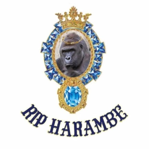 Harambe Memes: 25 Gorilla-Sized Laughs, Nine Years Later
