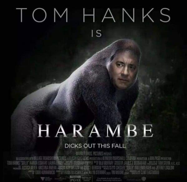 Harambe Memes: 25 Gorilla-Sized Laughs, Nine Years Later