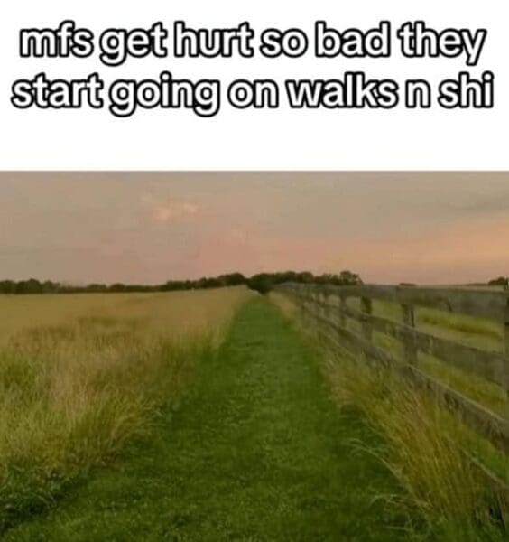 Nature Memes: 40 Funny Memes For You Outdoorsy Folks