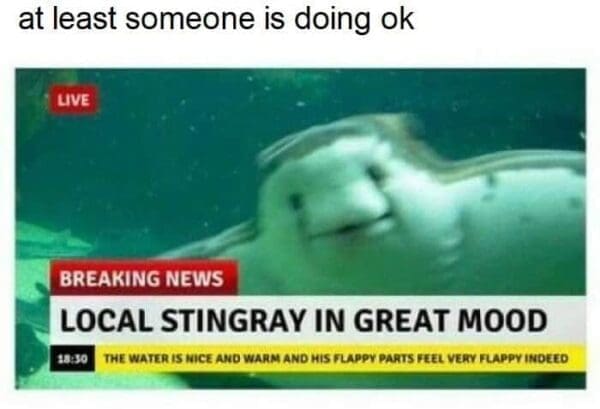 26 Ocean Memes for All Wannabe Marine Biologists
