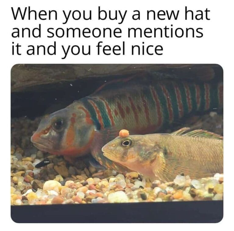 26 Ocean Memes for All Wannabe Marine Biologists