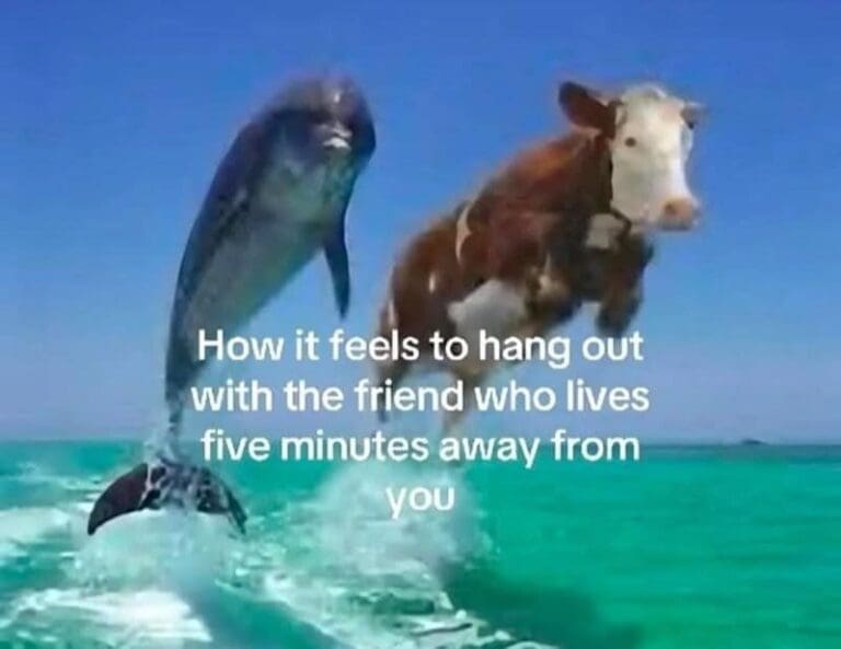 26 Ocean Memes for All Wannabe Marine Biologists