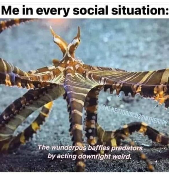 26 Ocean Memes for All Wannabe Marine Biologists