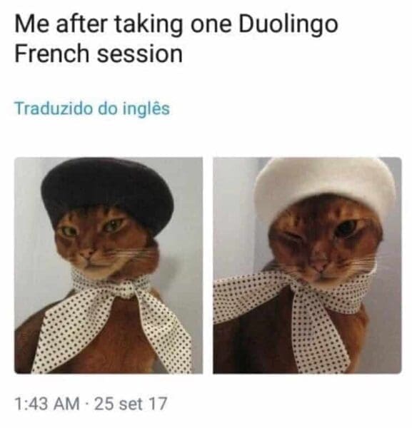 45 Polyglot Memes That’ll Make You Laugh in Every Language