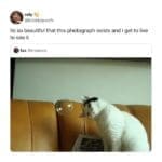 Positive Memes: 32 Wholesome Vibes to Lift Your Mood
