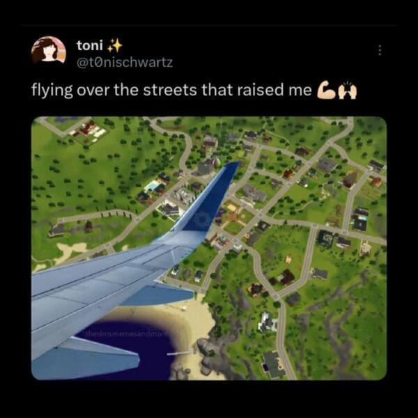 Sims Memes: 35 Relatable Laughs from The Sims Universe