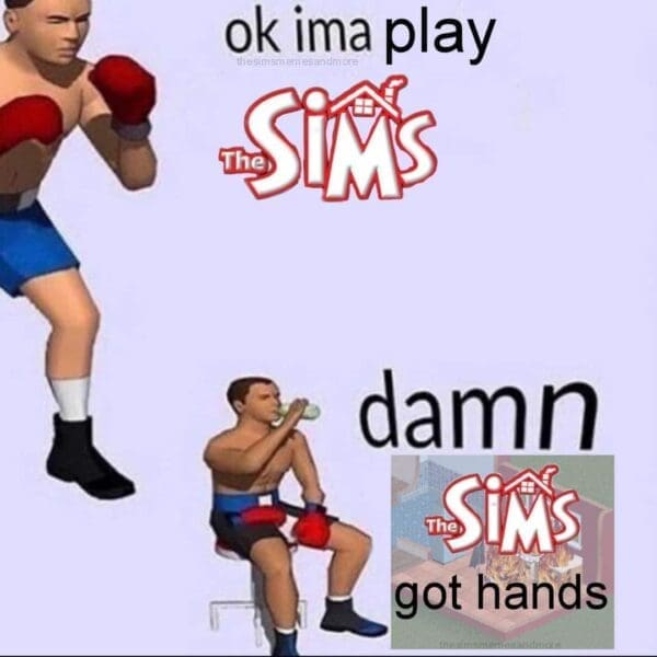 Sims Memes: 35 Relatable Laughs from The Sims Universe