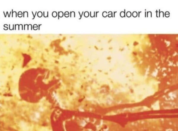 Summer Memes: 35 Hot Jokes for Scorching Days