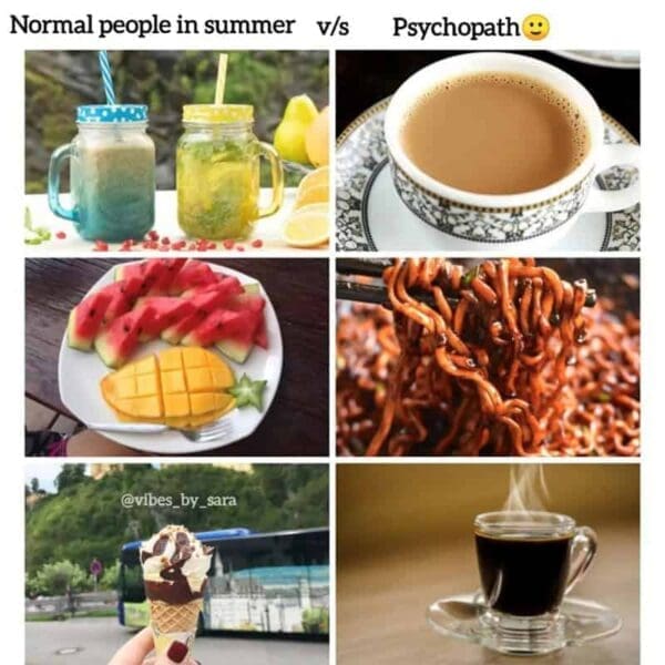 30 Summer Memes To Make Your Summer Less Miserable