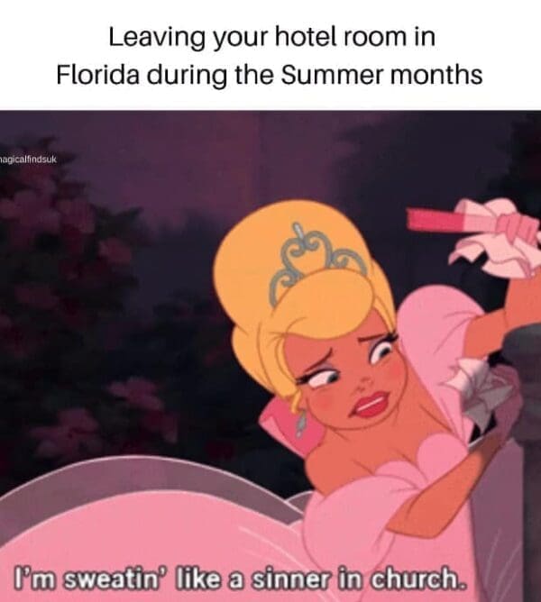 Summer Memes: 35 Hot Jokes for Scorching Days