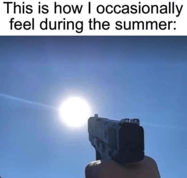 Summer Memes: 35 Hot Jokes for Scorching Days