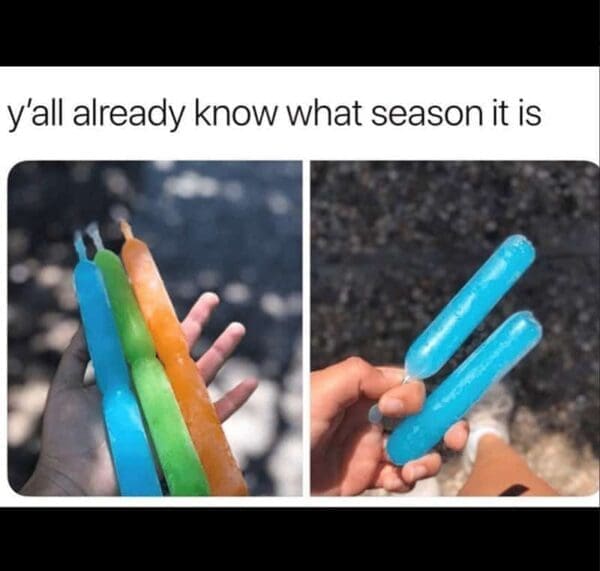 30 Summer Memes To Make Your Summer Less Miserable