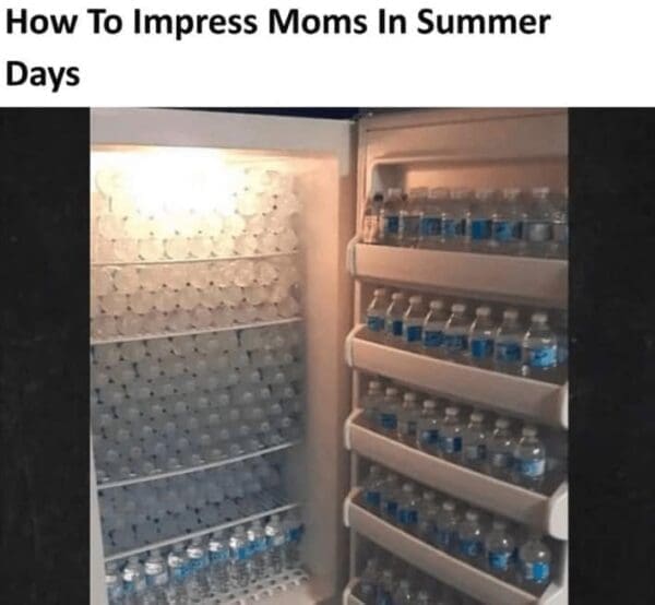 Summer Memes: 35 Hot Jokes for Scorching Days