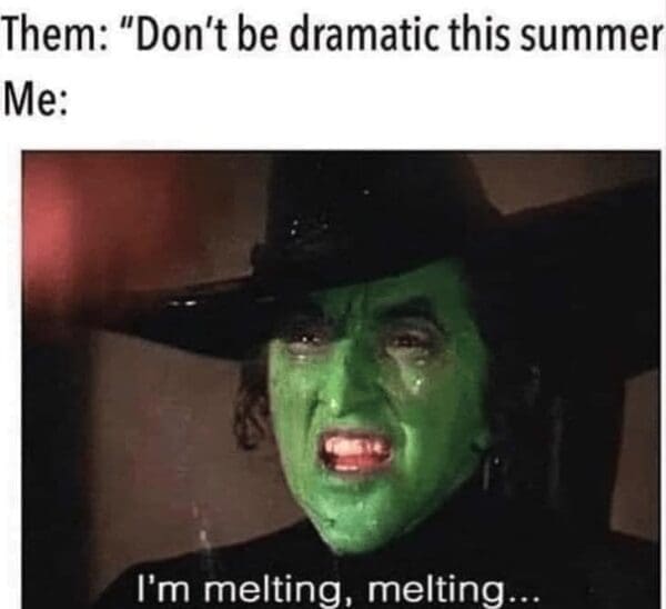 Summer Memes: 35 Hot Jokes for Scorching Days