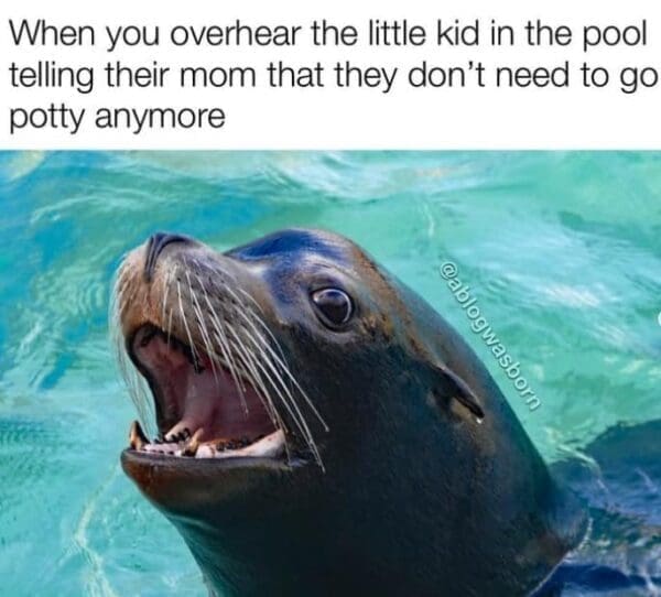 Summer Memes: 35 Hot Jokes for Scorching Days