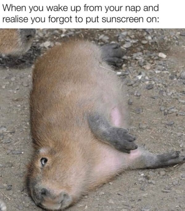 35 Sunburn Memes for People Who Thought SPF 15 Was Enough