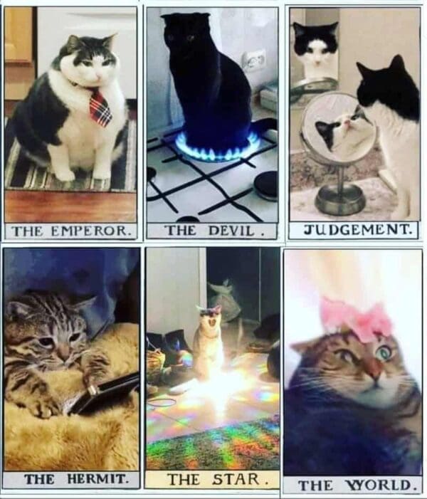 30 Funny Memes For Tarot Lovers Who've Been Called Out by the Cards