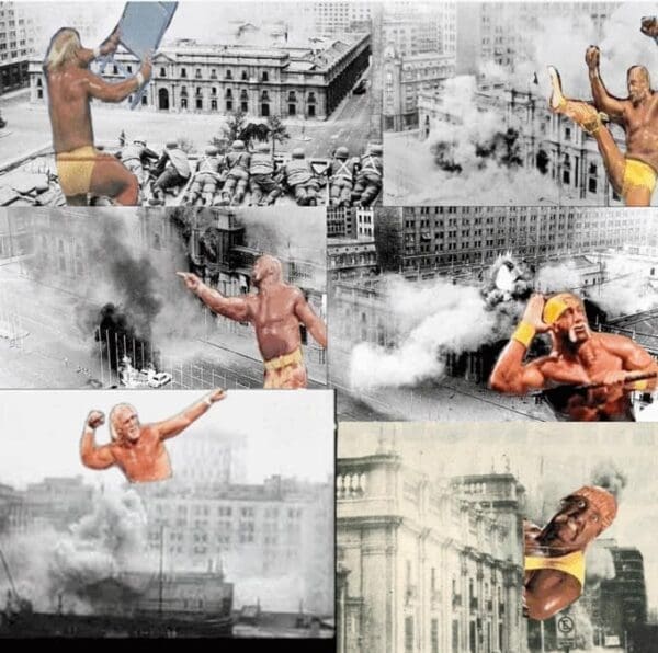 Hulk Hogan Memes: 30 Hulkster Memes to Honor His Passing
