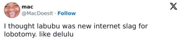 25 Labubu Memes For Everyone Obsessed With The Fad