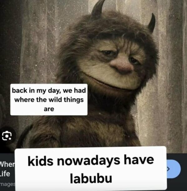 25 Labubu Memes For Everyone Obsessed With The Fad