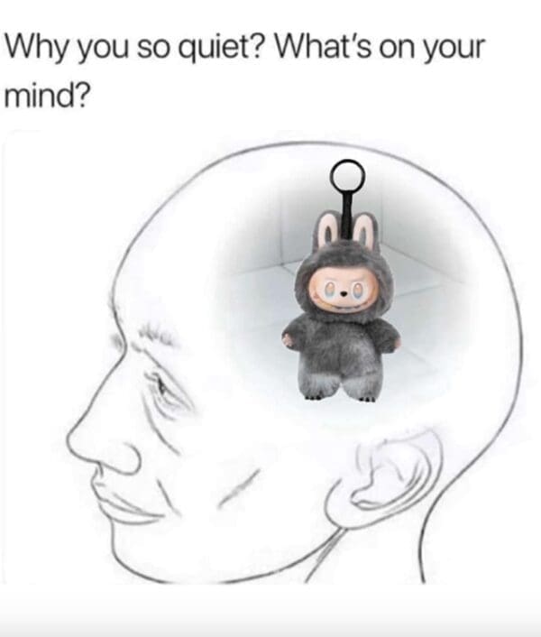 25 Labubu Memes For Everyone Obsessed With The Fad