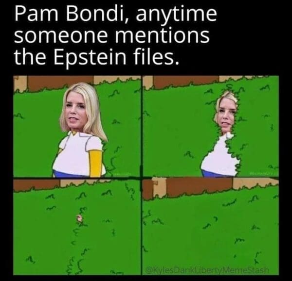 25 Pam Bondi Memes Roasting the “Missing” Epstein List