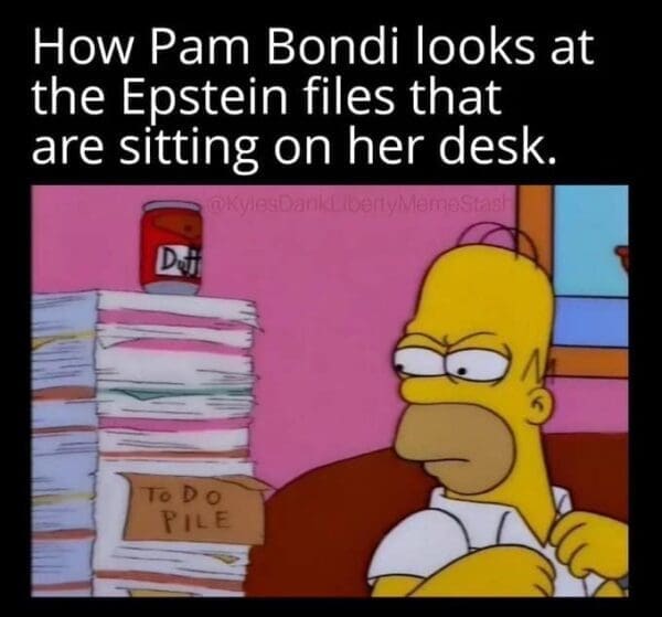 25 Pam Bondi Memes Roasting the “Missing” Epstein List